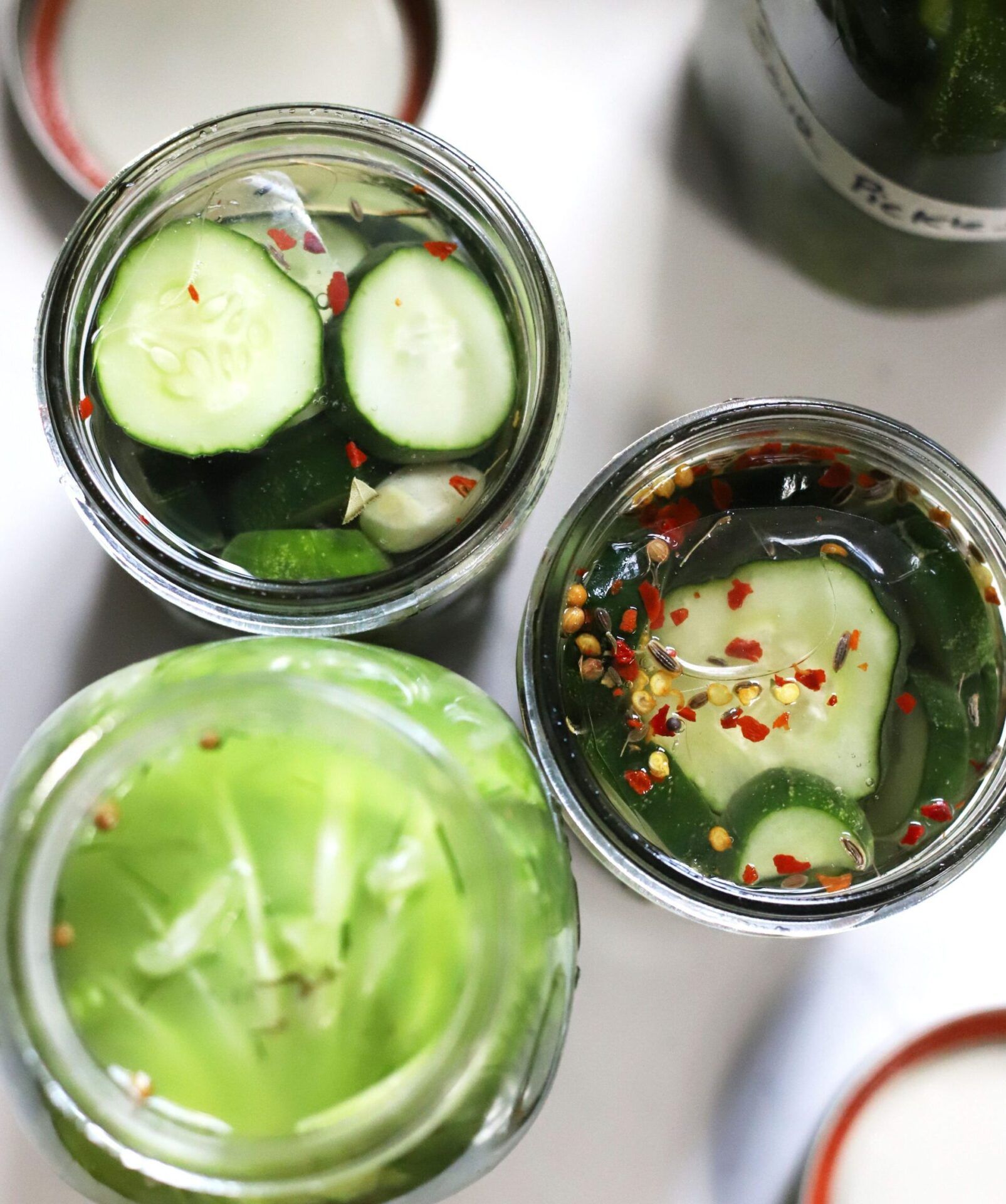 Cultiva CILANTRO Ancho en Casa - Guía FÁCIL y RÁPIDA