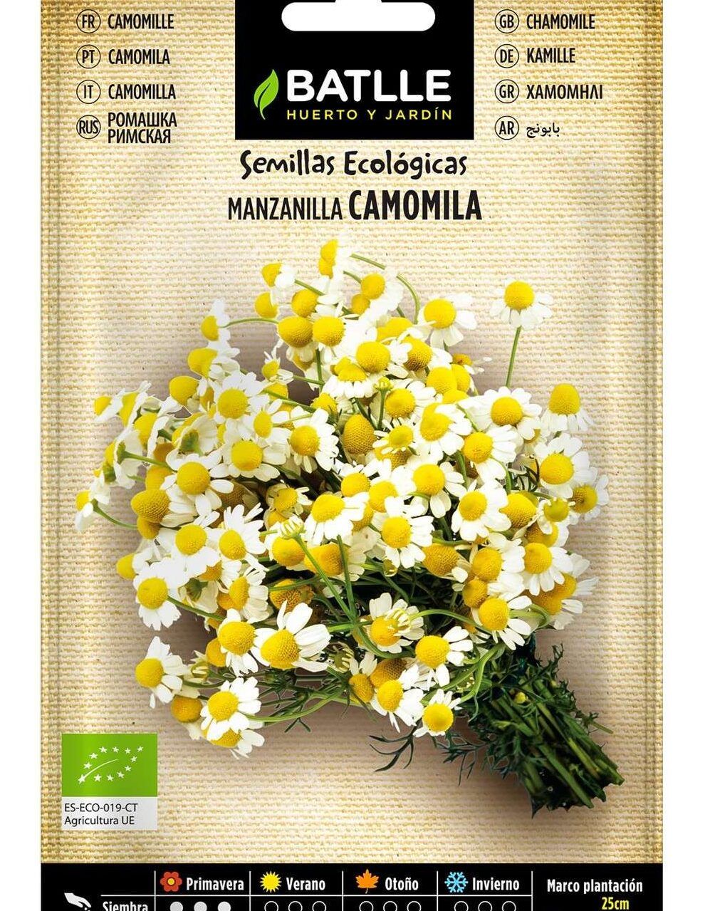 Cultiva MANZANILLA en CASA con BOLSITAS - Guía PRÁCTICA