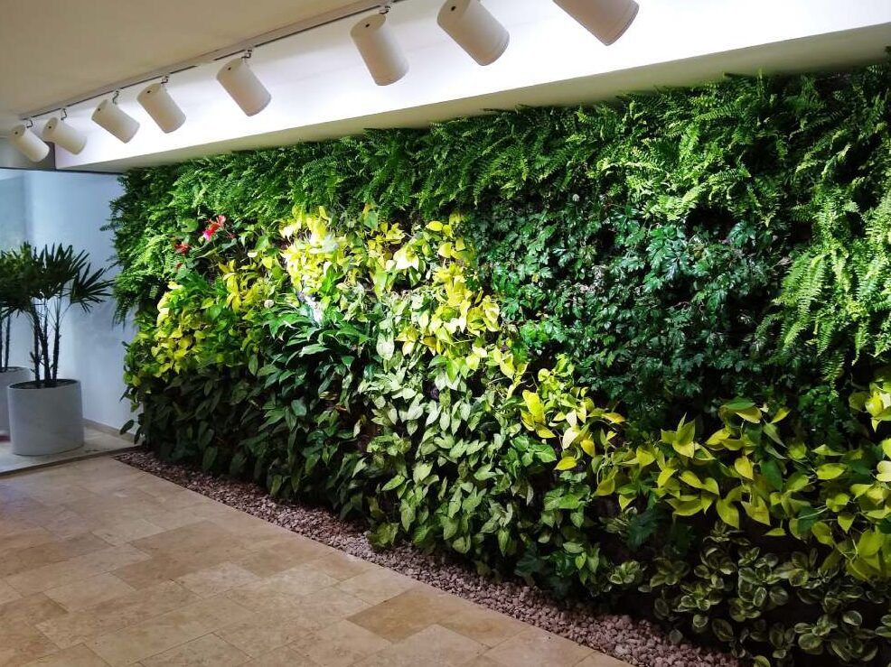 Guía COMPLETA: Crear JARDÍN VERTICAL con ILUMINACIÓN en Casa