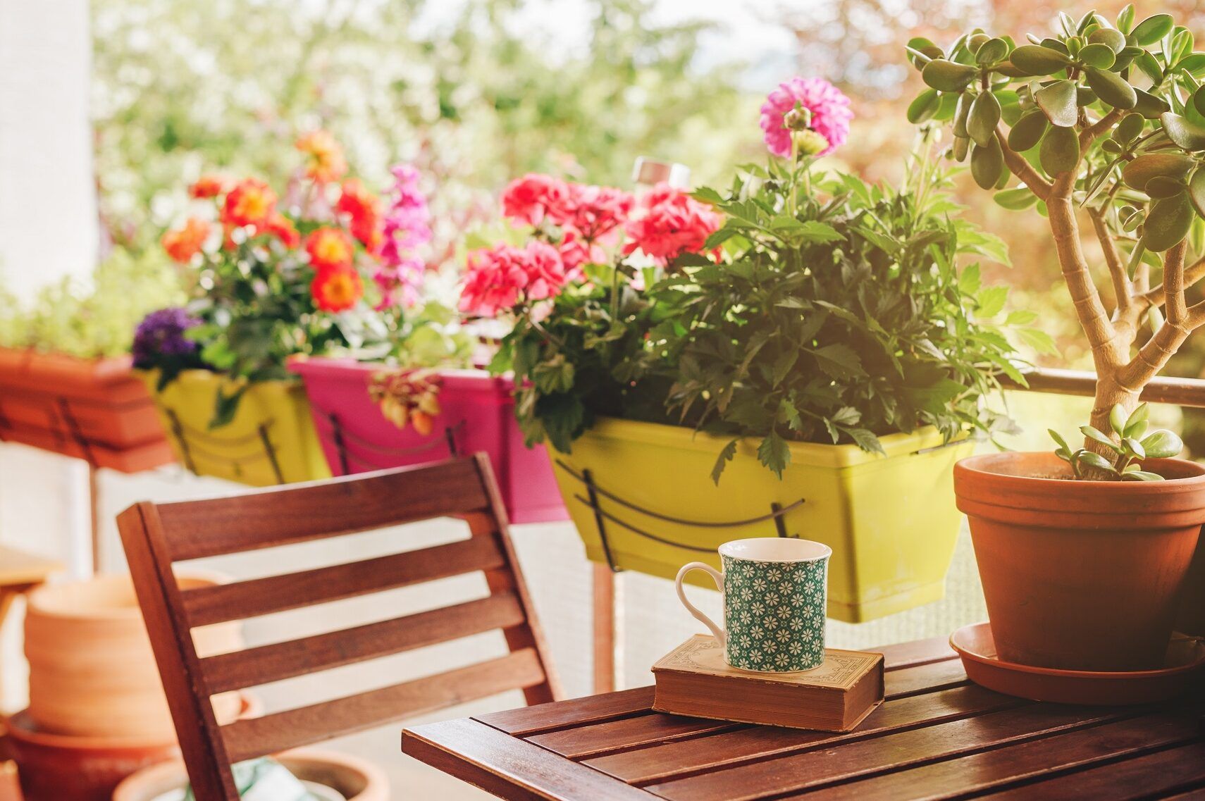 Guía COMPLETA: Protege tus Plantas con INVERNADEROS YA