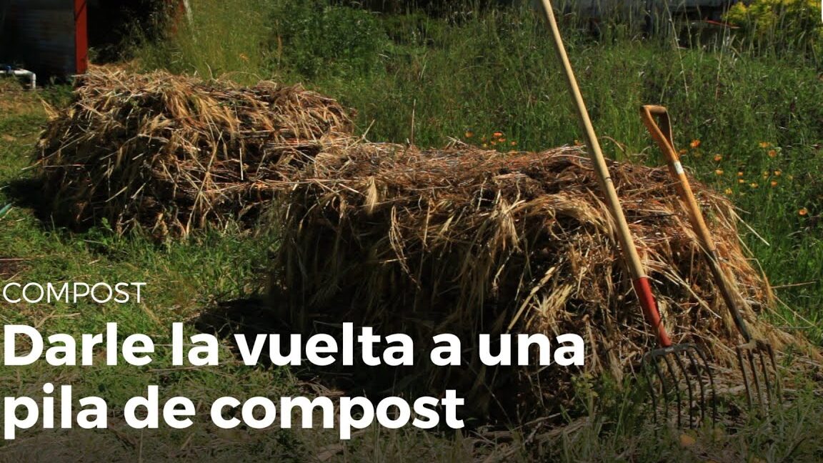 Descubre el sorprendente secreto para compostar en invierno que ...